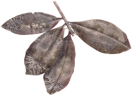 Contemporary New Zealand Jewellery by Areta Wilkinson